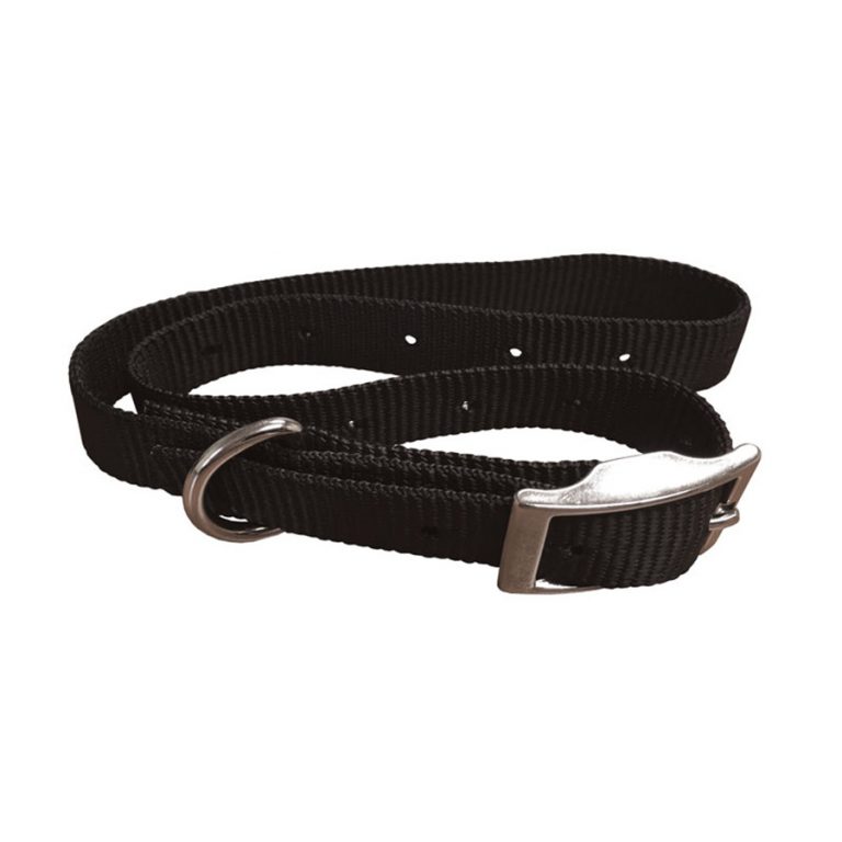 Collar Straps - DogWatch®