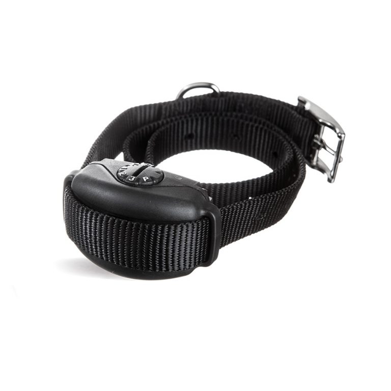 DogWatch Store - DogWatch®