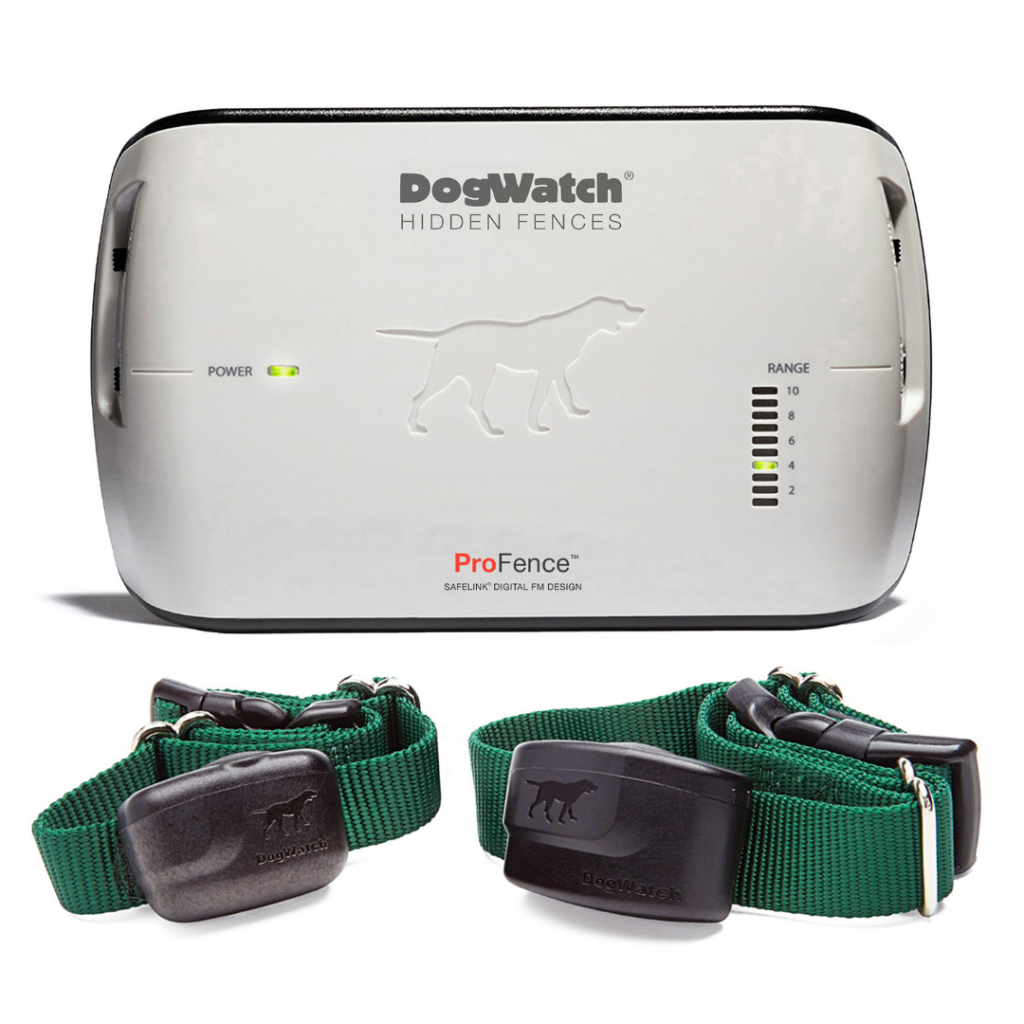 Lightning Protection: The Dangers And How DogWatch® Keeps You Safe ...